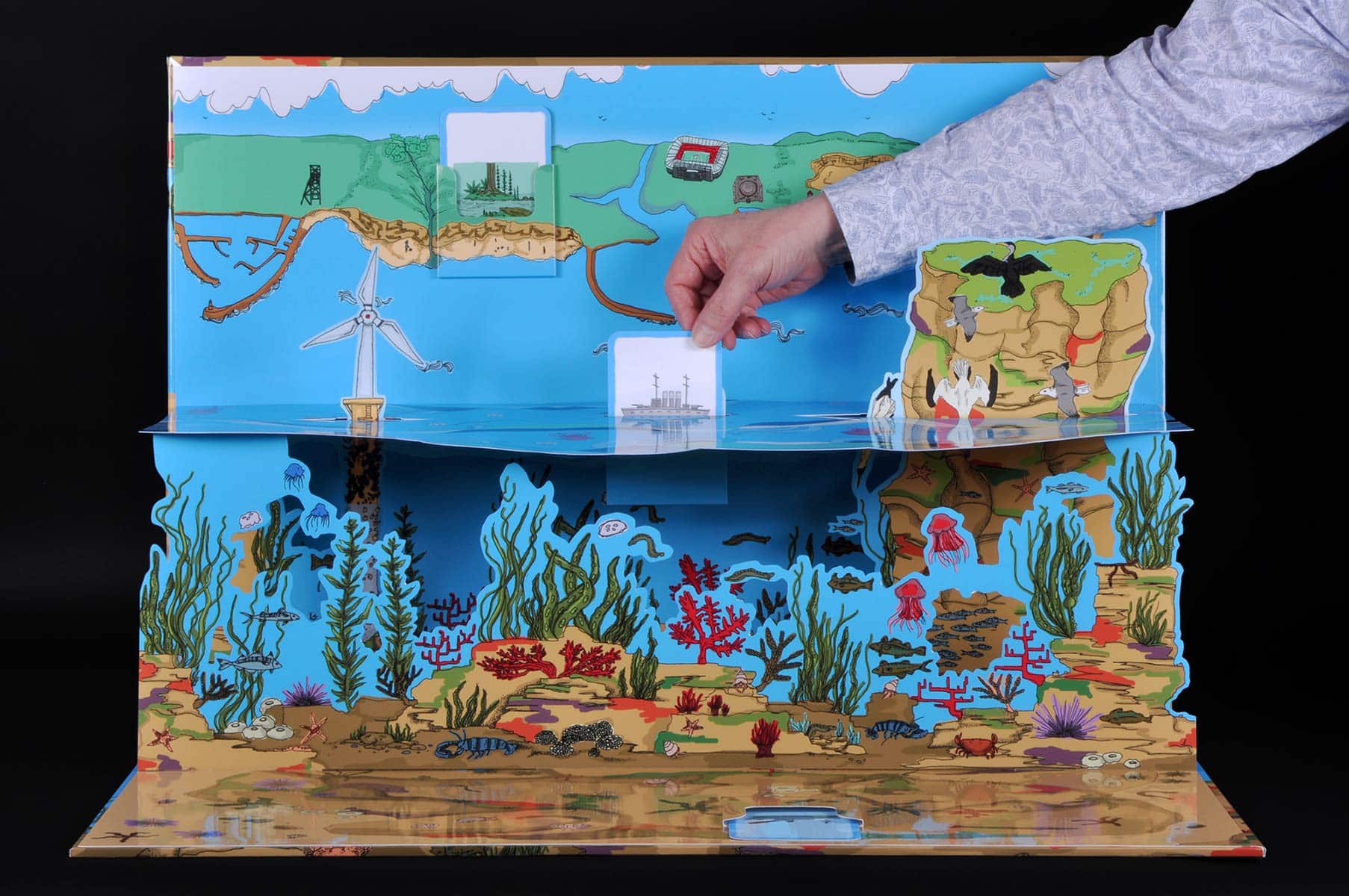 SeaScapes Educational Pop-Up - Papersmyths